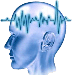 head-brainwave | Integrative Brain Health & Wellness Center